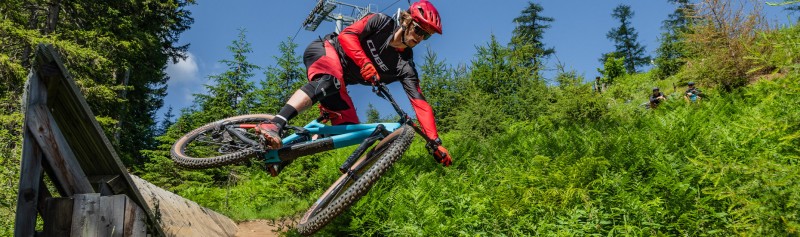 Mountainbike Fully Alu oder Carbon jetzt kaufen